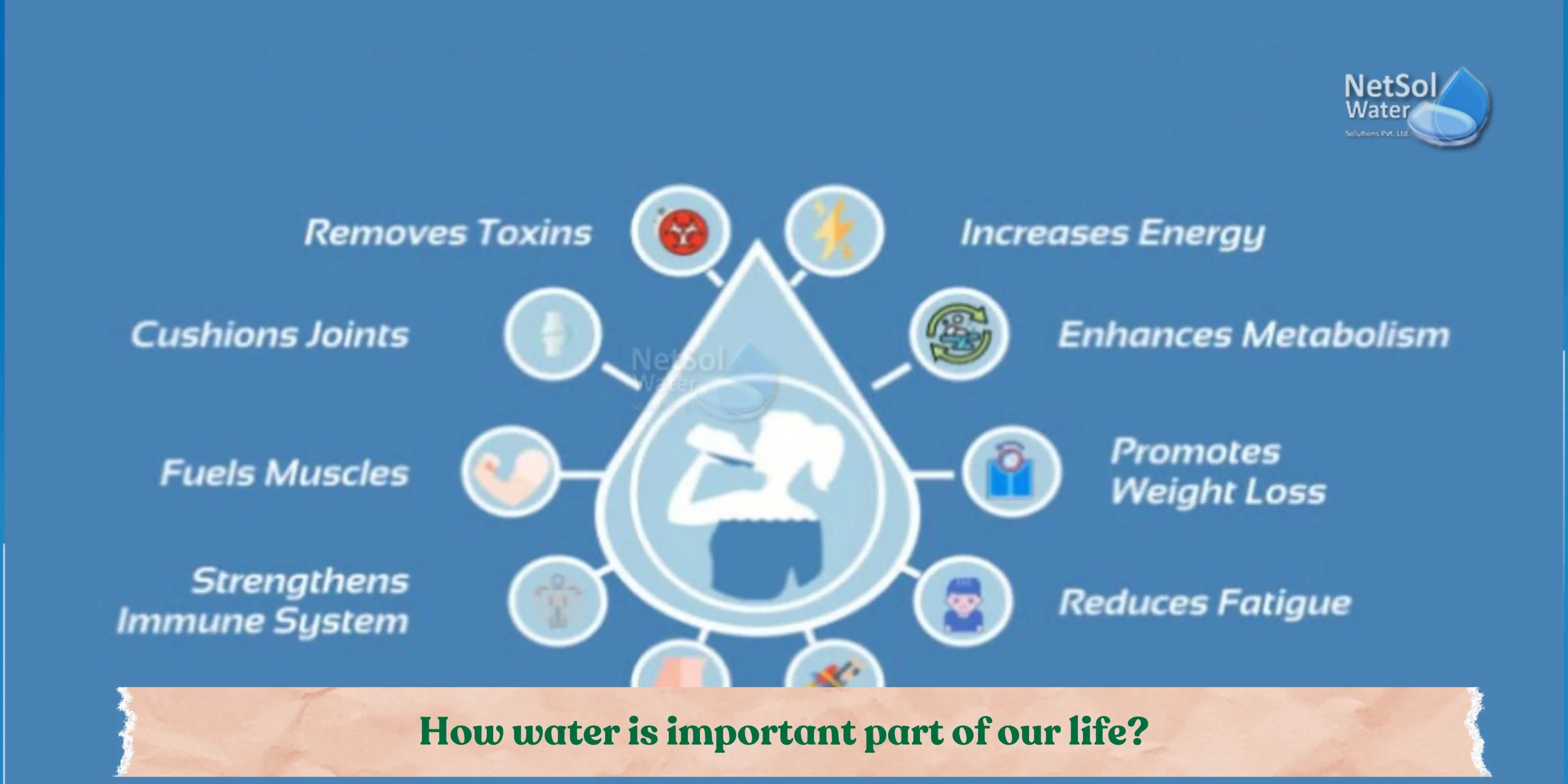 How water is important part of our life? -Netsol Water